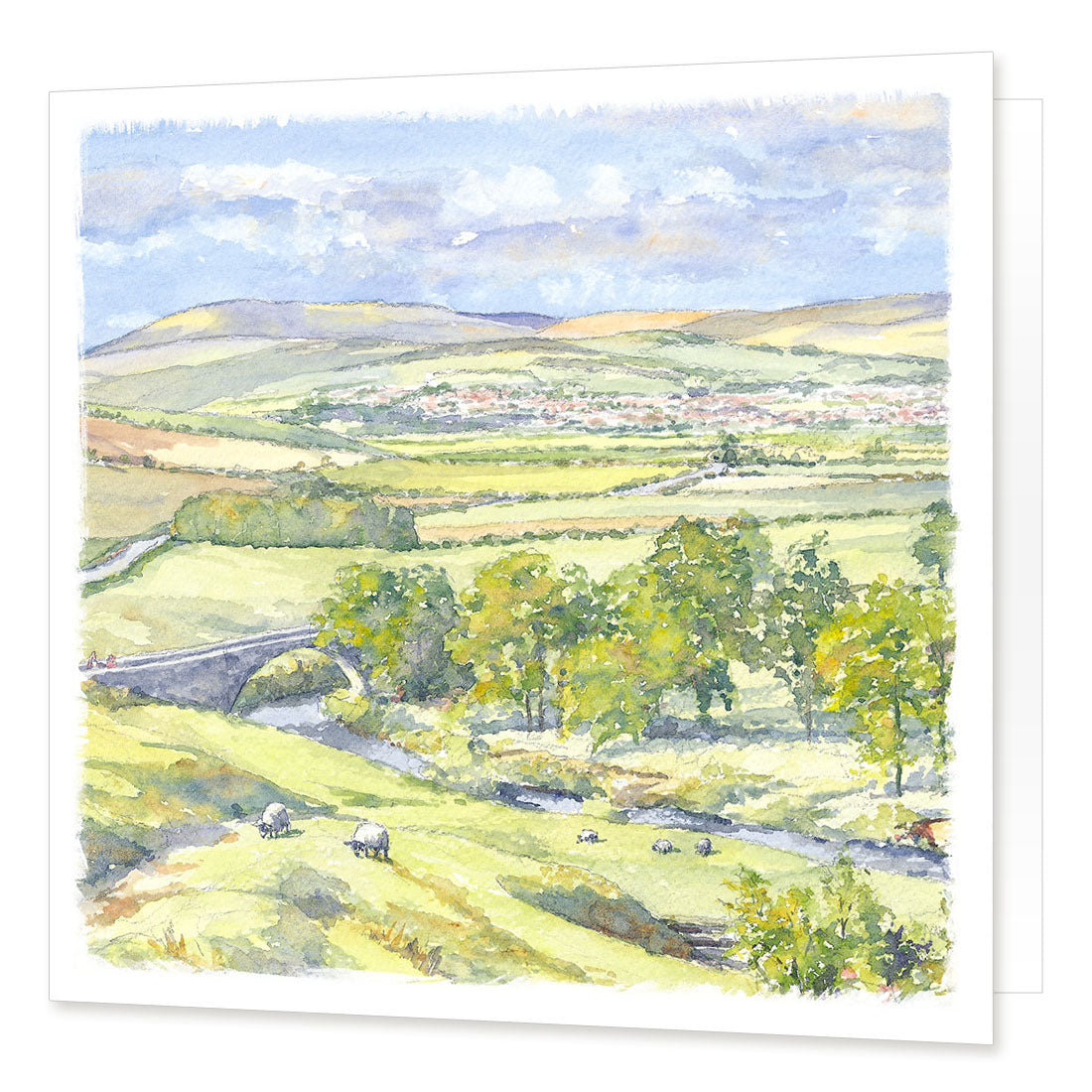Cheviots Greetings Card | Great Stuff from Cardtoons