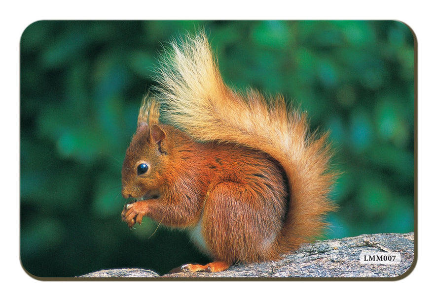 Red Squirrel gifts from Cardtoons – Great Stuff from Cardtoons